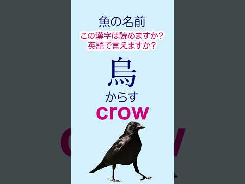 Kanji - Bird names 漢字の読み方と英語「鳥の名前」