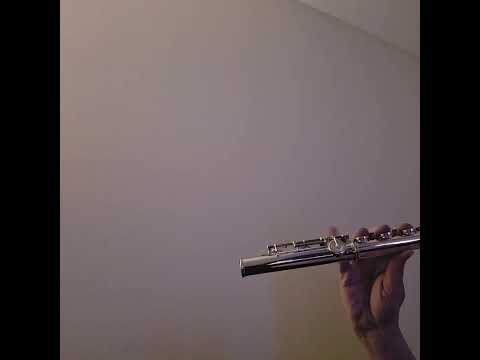 Altus 907E Flute Handmade Split E Offset G- Body only | Reverb