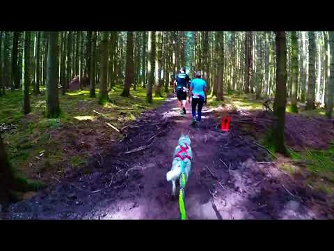20180909 trail chimay