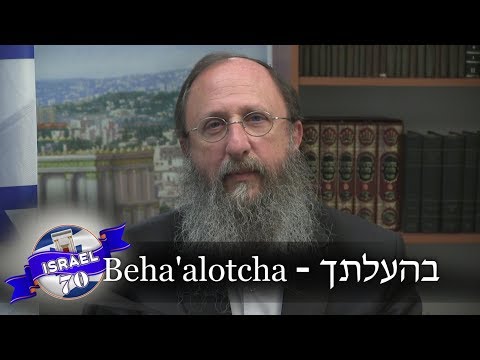 Weekly Torah Portion: Beha'alotcha