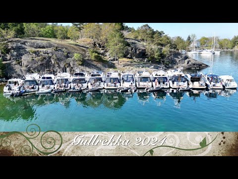 Gullrekka 2024