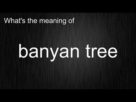 What's the meaning of "banyan tree", How to pronounce banyan tree?