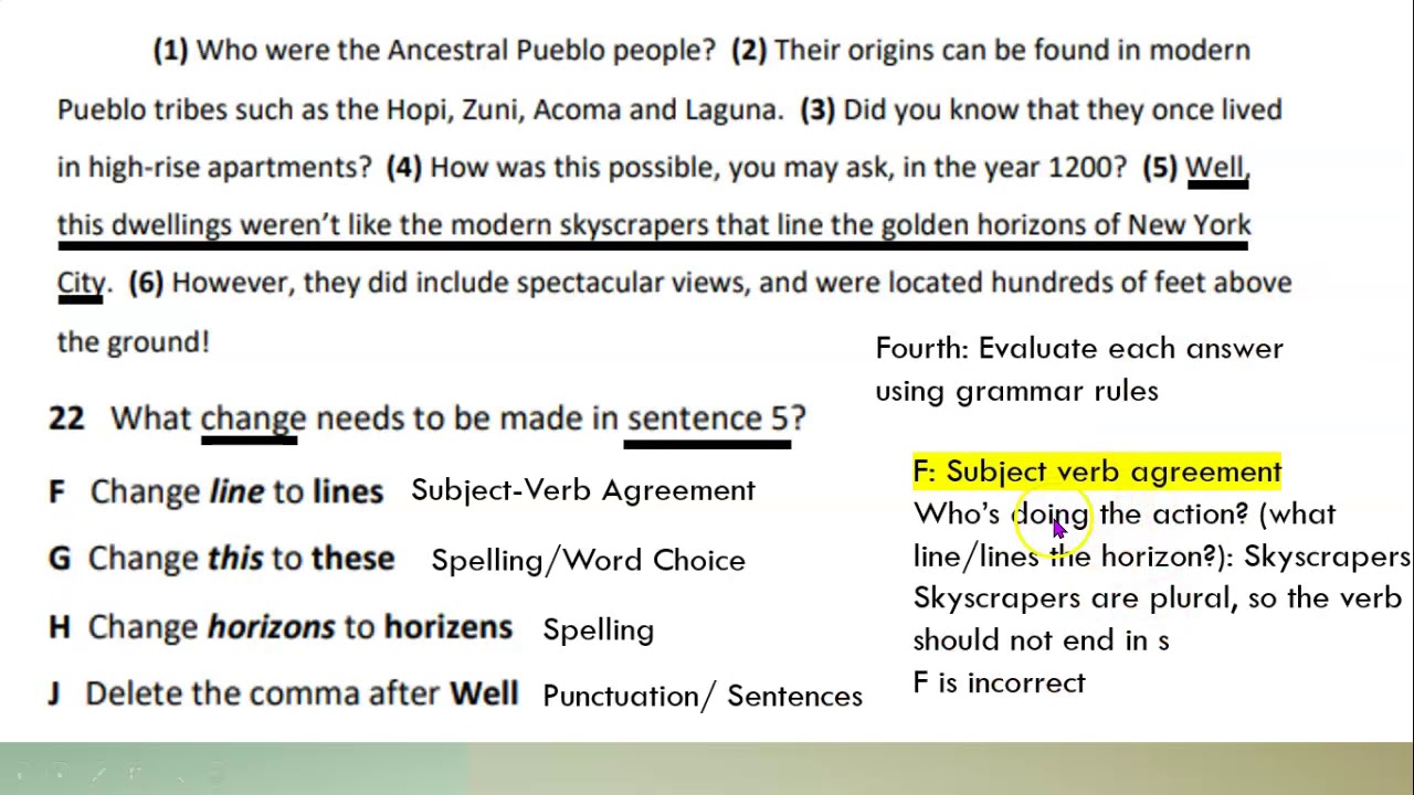 Revising and Editing Practice Instructions