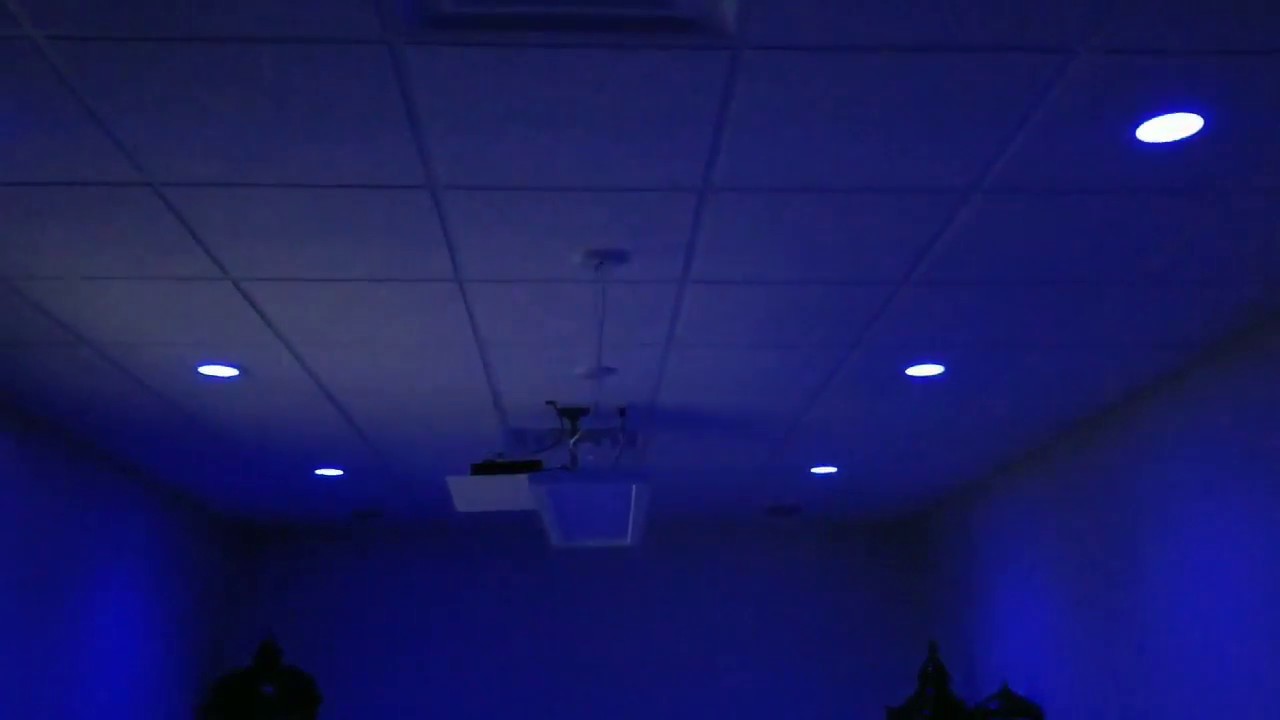 Nora Prism
