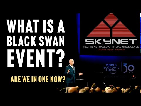 WHAT IS A BLACK SWAN EVENT? Are we in one now?