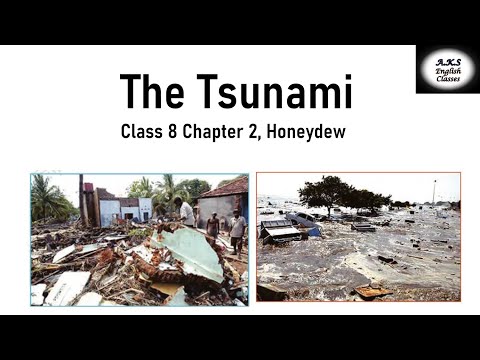 Explanation: The Tsunami Video Lecture - English Honeydew Class 8