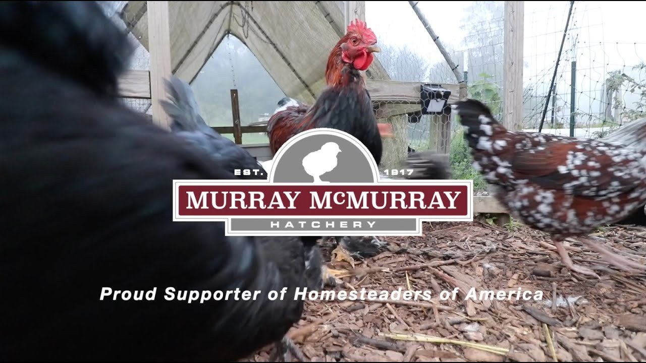 McMurray Hatchery | Introduction