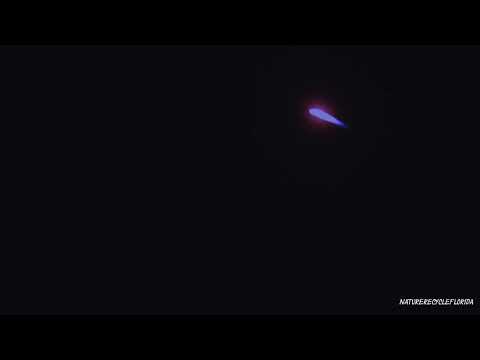 Space X Launch Daytona Beach Florida
