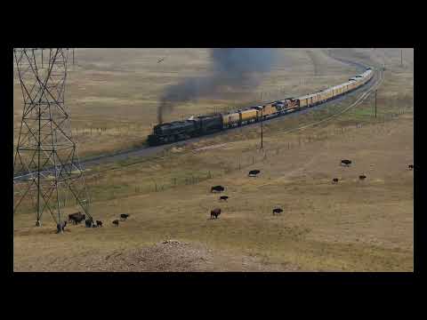 Watch the Big Boy start a buffalo (bison) stampede and also race an antelope as it returns to WY.