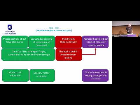 ANZBACK Public Lecture 2023: Rethinking How Low Back Pain is Treated