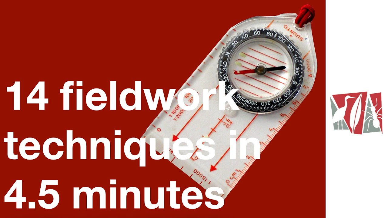 14 Fieldwork techniques in 4.5 minutes