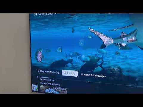 How To Turn On Closed Captions With Amazon Prime - #roku