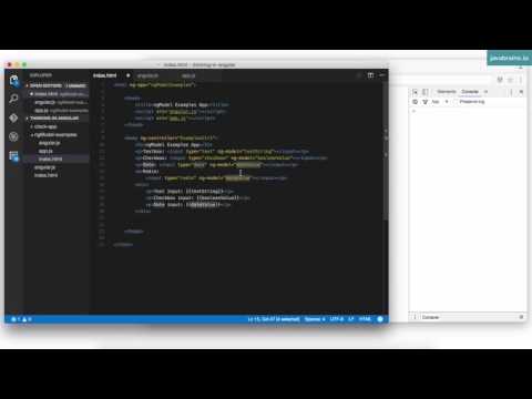 Thinking in Angular1 24 - More Input Controls with ngModel
