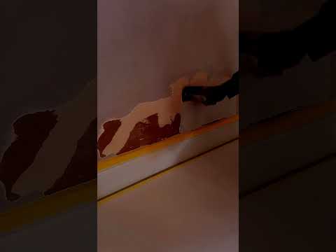 What To Do If Paint Is Flaking Off A Wall In Your Home #diy #home #painting #diy #howto