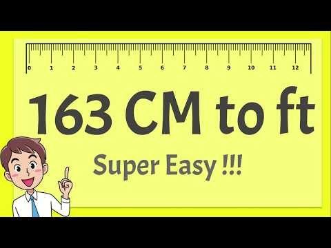 163 cm in feet