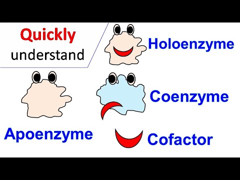Cofactors | Coenzymes | Holoenzyme | Apoenzyme