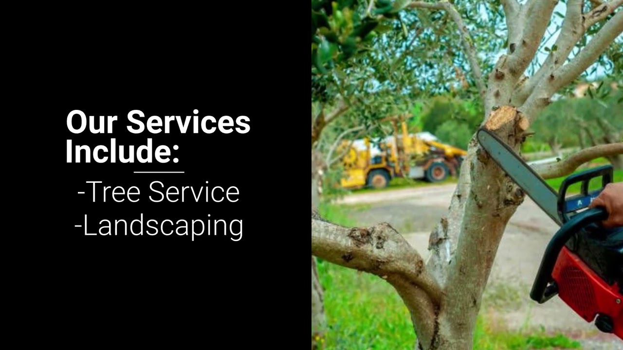 Jackson Landscaping  Tree Service