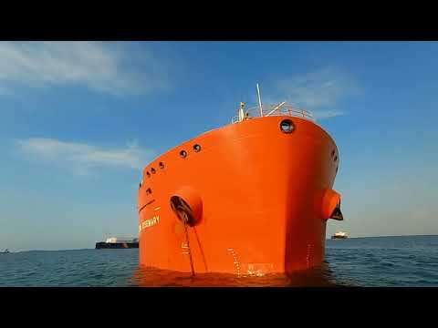 Ship in Port SINGAPORE (PSA) "MARITIME ROSEMARY"
