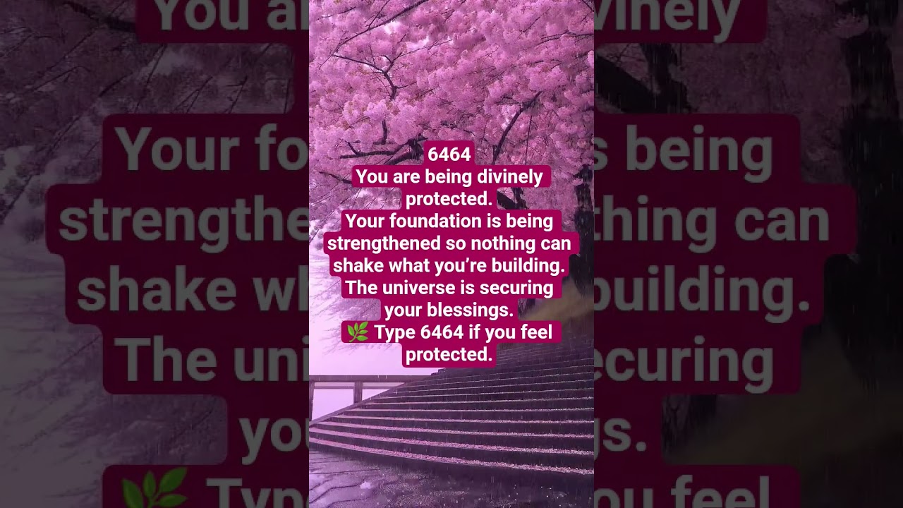 🕊️ 6464 Angel Number — Stability & Protection