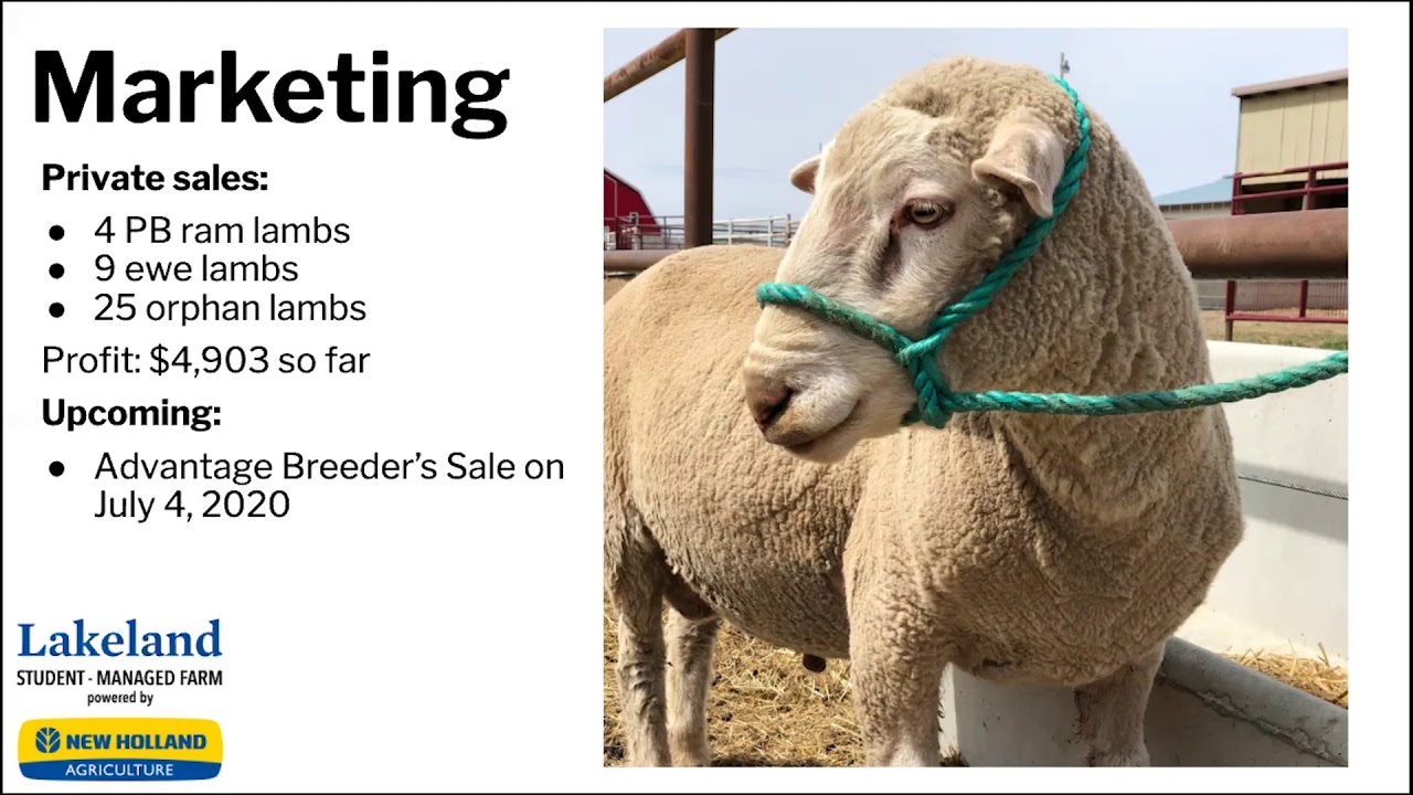 Animal Science Technology | 2019-20 Presentations - Sheep Unit