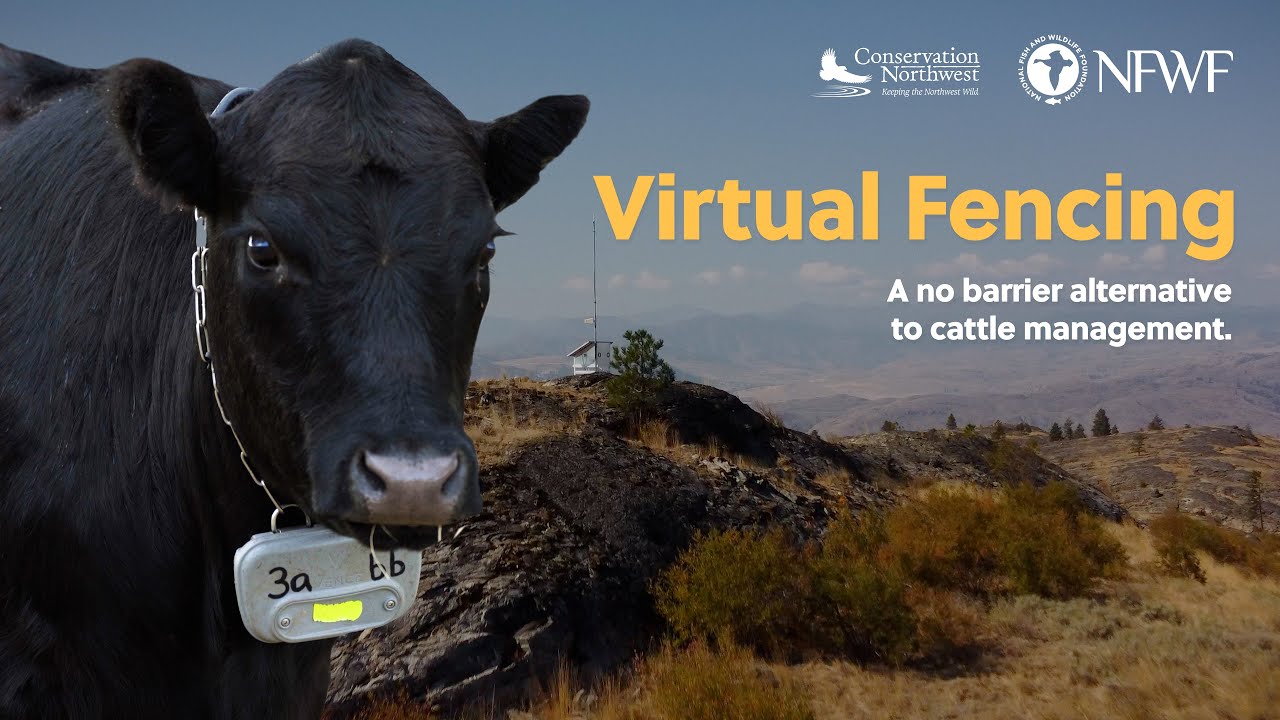 Virtual Fencing | The Next Evolution in Range Management