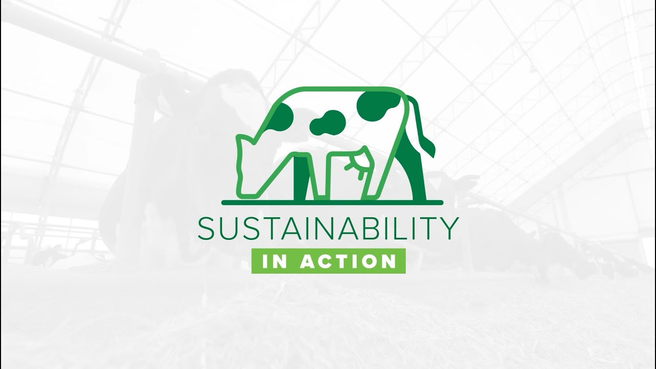 Sustainability in Action: 2022 Project Highlights