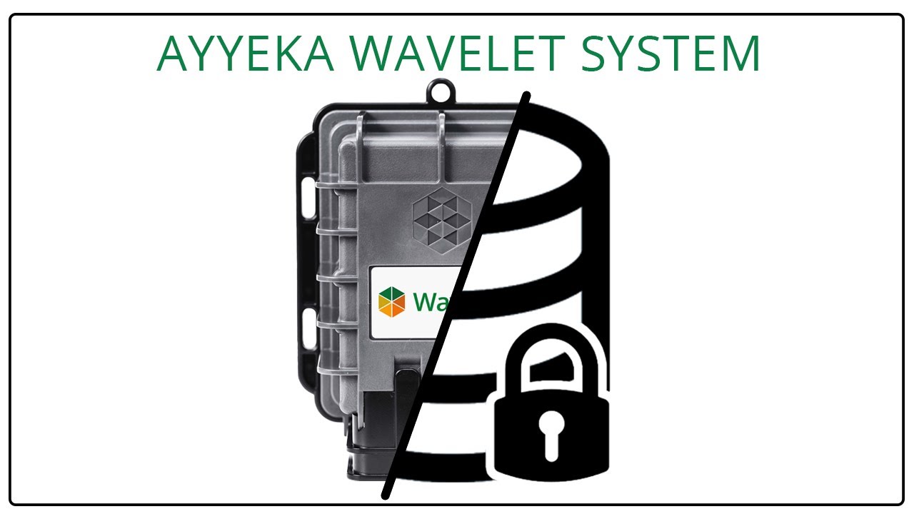 Introduction: Ayyeka Wavelet Platform