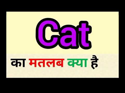 Cat meaning in hindi || cat ka matlab kya hota hai || word meaning English to hindi