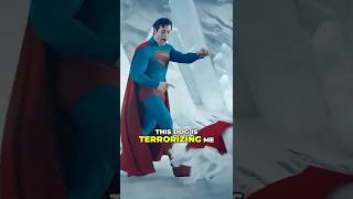 How KRYPTO the SUPERDOG was CREATED for James Gunn's SUPERMAN
