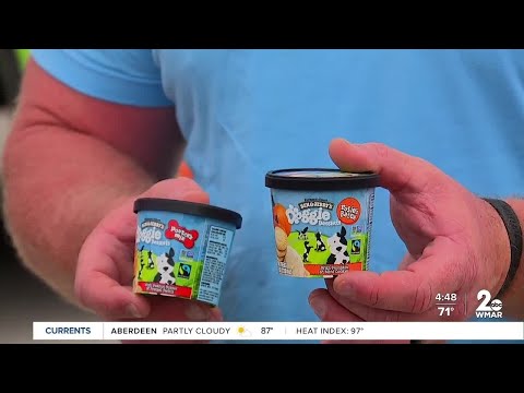 Ben and Jerry's Doggie Desserts in Baltimore