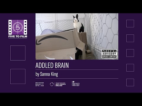 "Addled Brain" by Sanna King