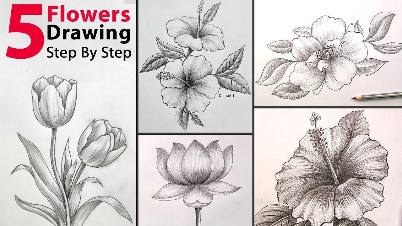 5 Flowers Drawing with Pencil Shading Step By for Beginners | How To Draw Hibiscus, Tulips, Lotus