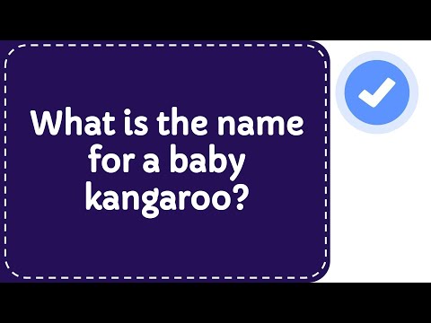 What is the name for a baby kangaroo?