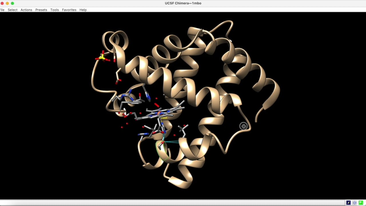 Tutorial 5 – Structure Analysis & Comparison