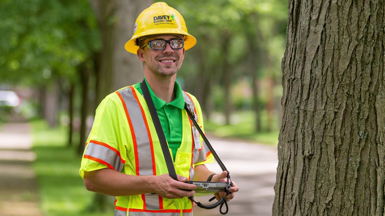 Urban Forestry Project Management | Brentwood, MO