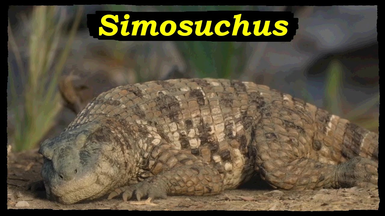 Simosuchus: the Adorable Crocodile Pug
