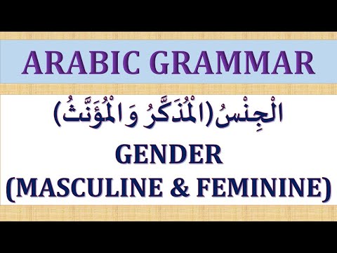 MASCULINE AND FEMININE NOUNS IN ARABIC. ARABIC GRAMMAR (LESSON 4)