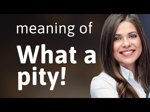 Understanding "What a Pity!": A Phrase in English
