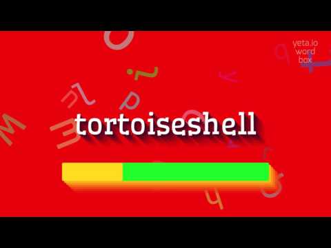 How to say "tortoiseshell"! (High Quality Voices)