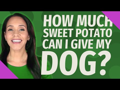 How much sweet potato can I give my dog?