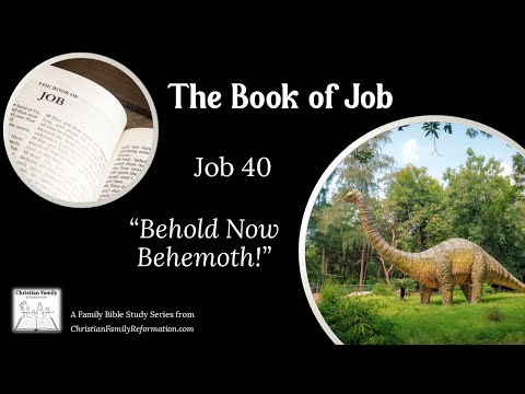 Job 40: “Behold Now Behemoth!”