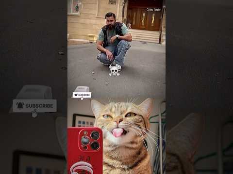 Me and my short friend 😂 #cat #meme #funny