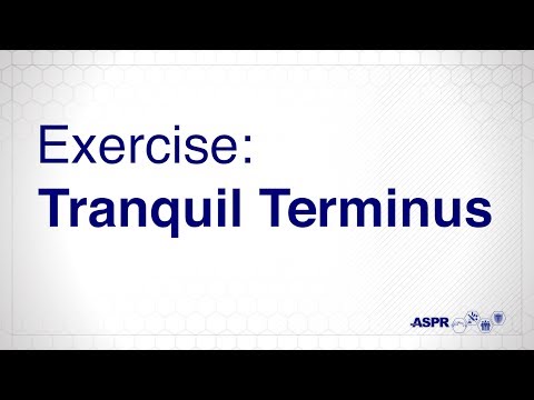 Exercise: Tranquil Terminus