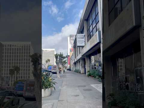 busy afternoon street of Los Angeles, Wilshire Blvd 4 25 25