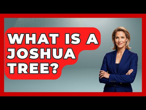 What Is A Joshua Tree? - United States Revealed