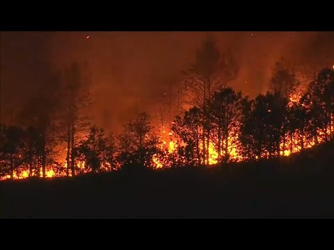 Man charged with arson in southern New Jersey wildfire