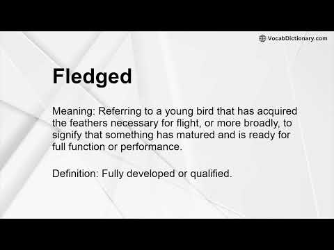 Fledged Meaning