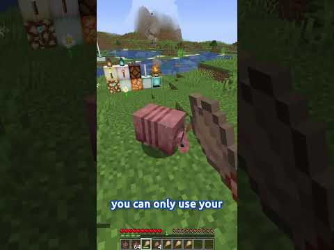 How To Get Armadillo Scutes!