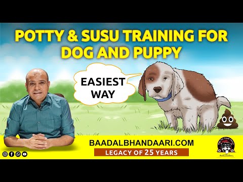 How to Potty & Susu (Pee) Training Puppy or Adult Dog at Home | Indoor or Outdoor | Baadal Bhandaari