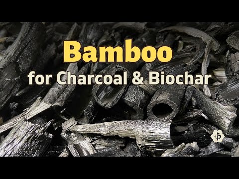 Bamboo and Biochar